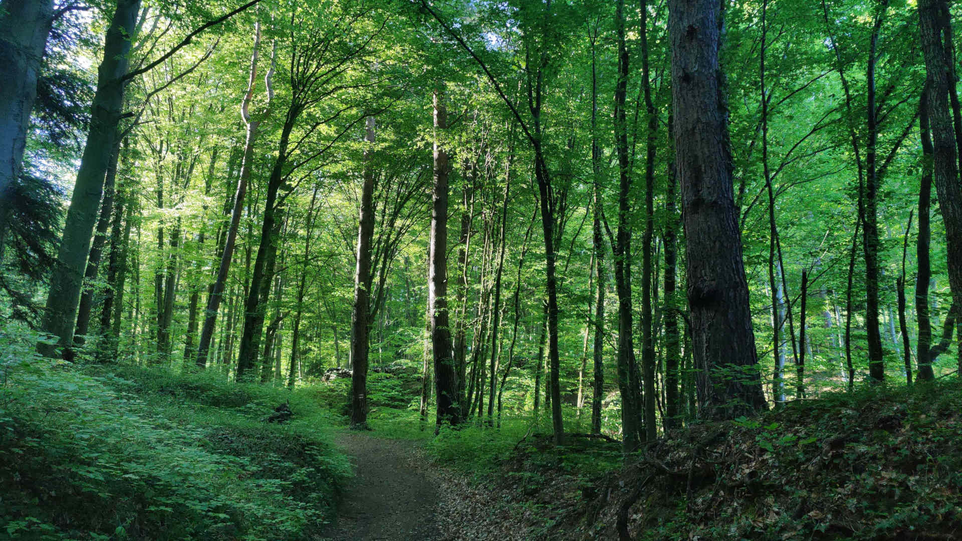 Eichgraben-Wien - azurgo.ch